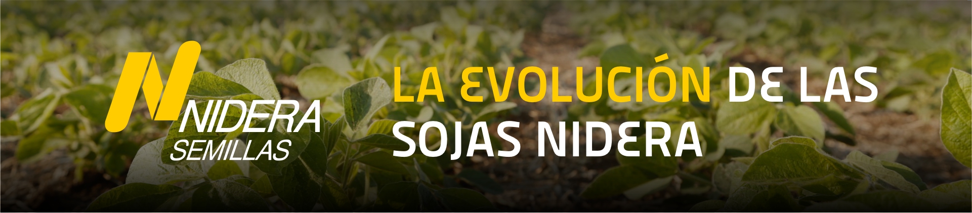 La evolución de las sojas Nidera - PGG WRIGHTSON SEEDS